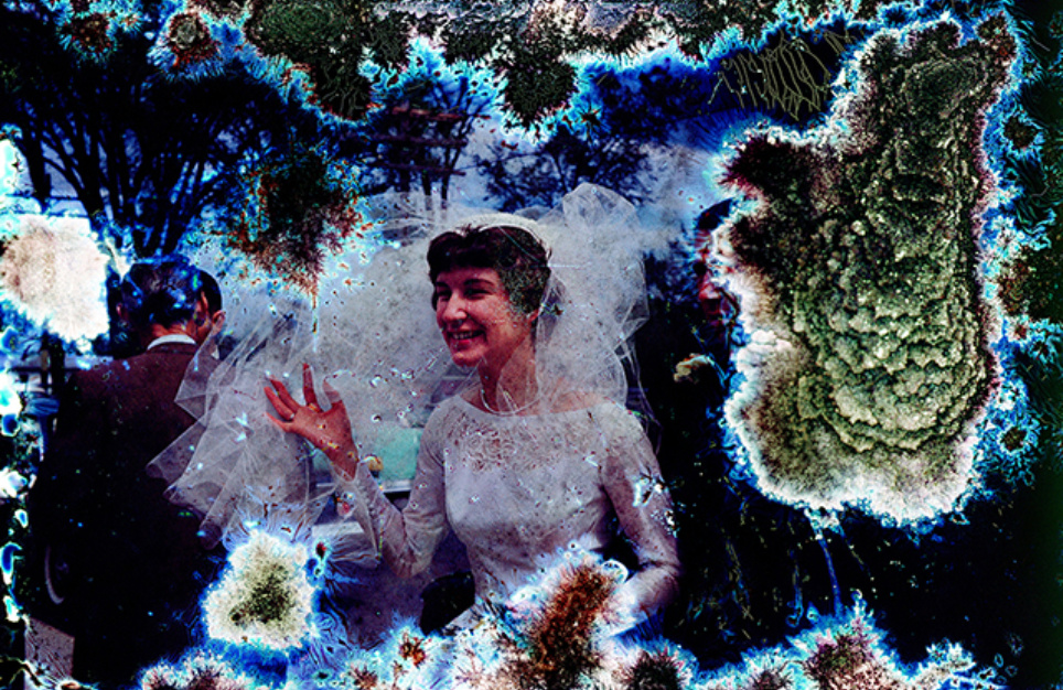 Vis-Á-Vis, Galway Arts Festival 2011 | Galway International Arts Festival