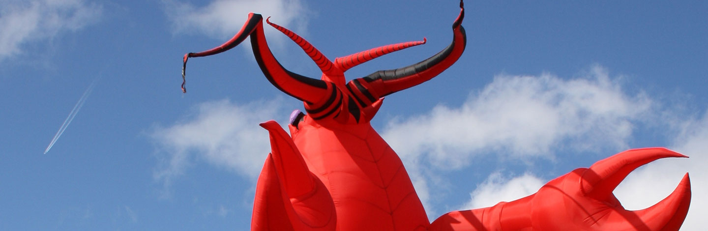 Dance of the Lobsters | Galway International Arts Festival