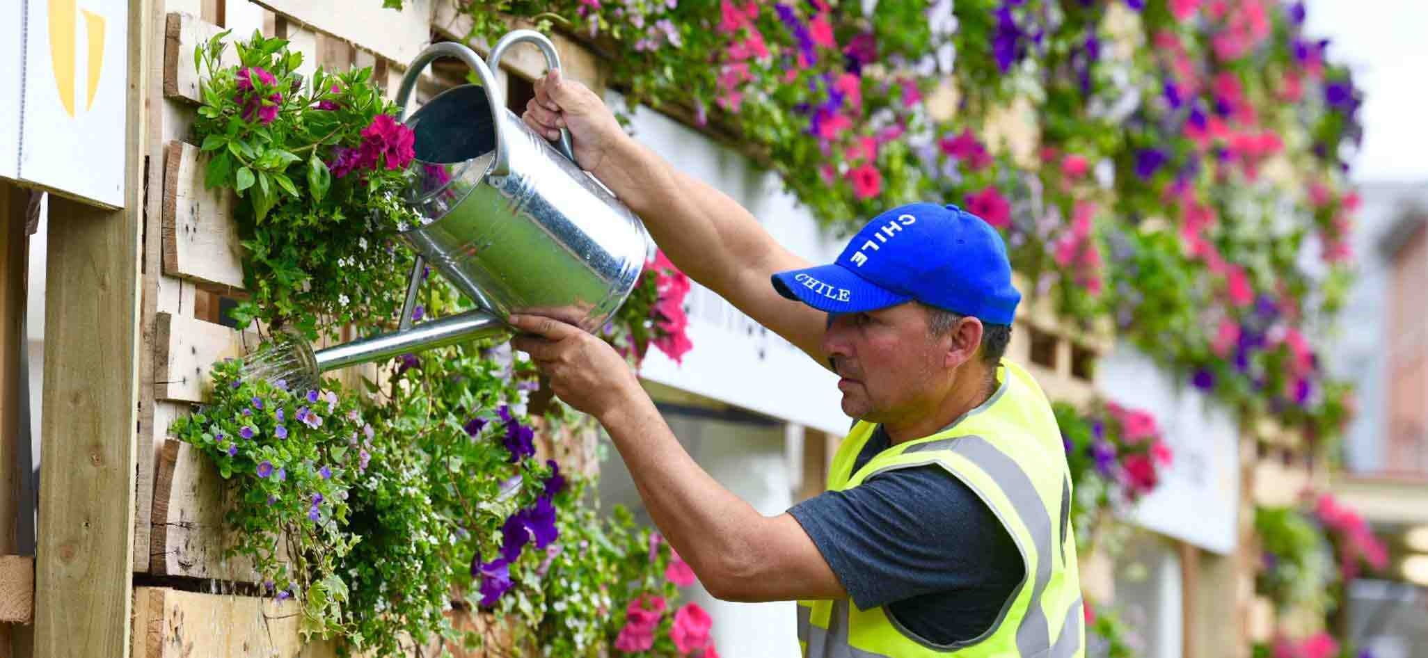 Sustainability | Galway International Arts Festival