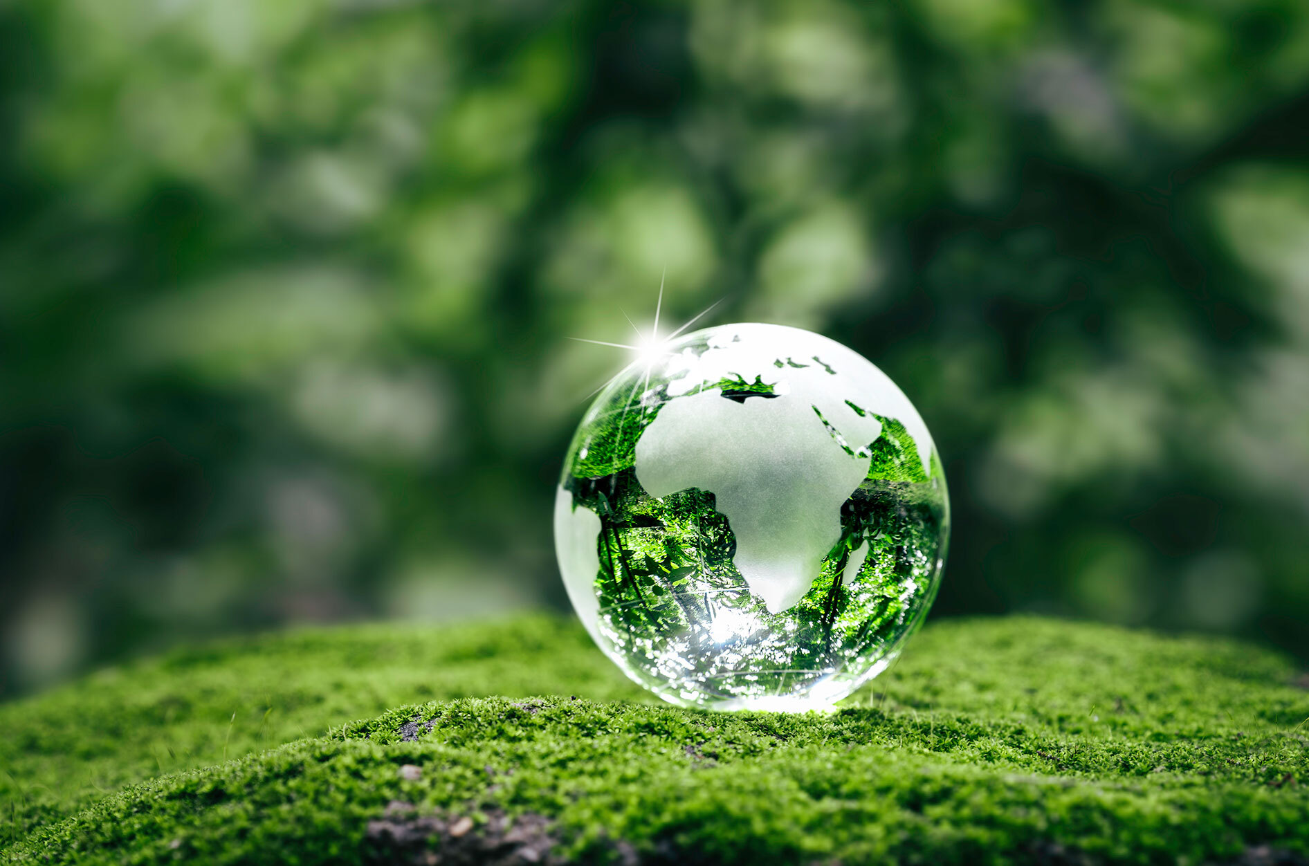 Where Are We Now? | Galway International Arts Festival