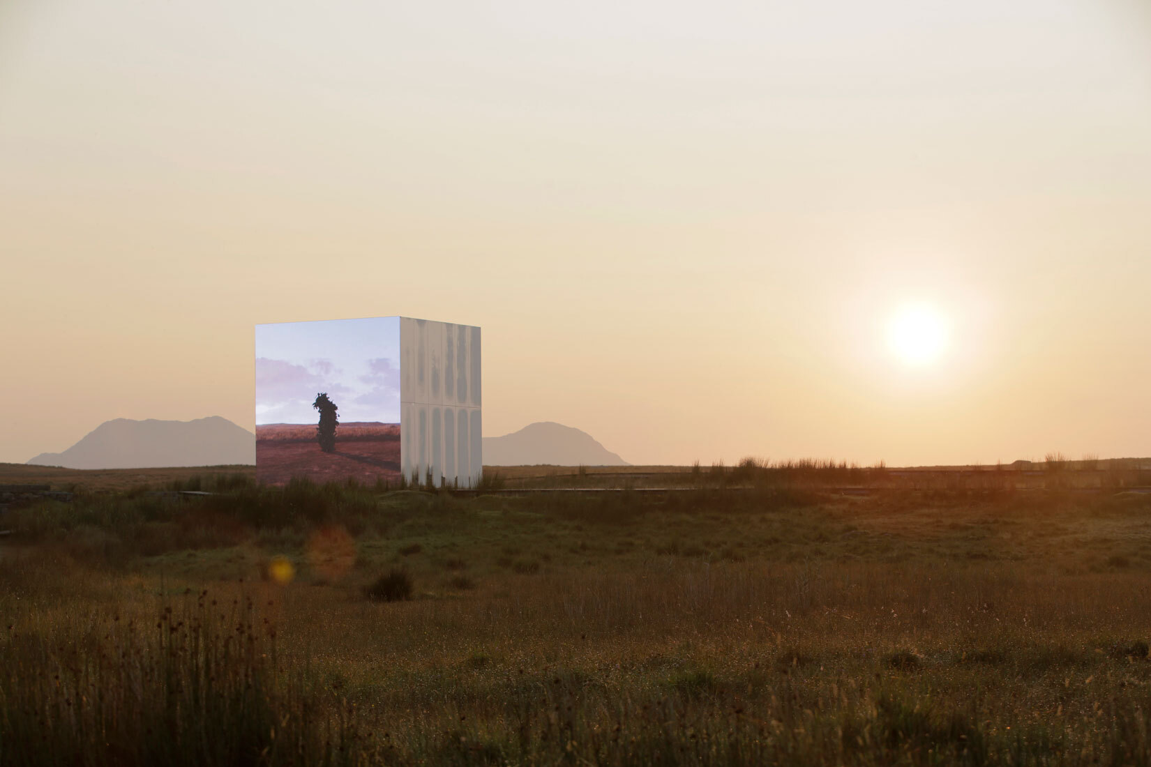 Watch Mirror Pavilion, Leaf Work by John Gerrard | Galway International ...